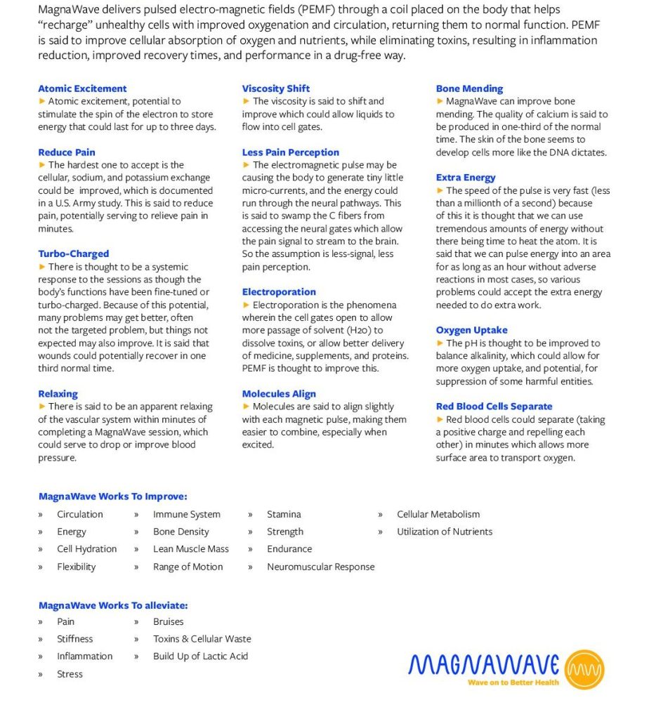 MagnaWave PEMF Therapy – EQUIWORKS LLC